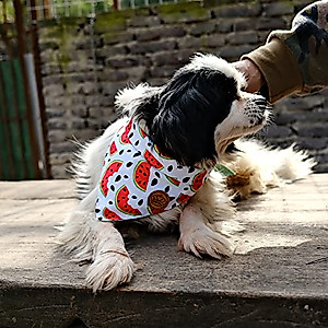 CROWNED BEAUTY Spring Summer Dog Bandanas Reversible Large 2 Pack, Watermelon Sunflower Set, Green Plaid Polka Dots Adjustable Triangle Holiday Scarves for Medium Large Extra Large Dogs Pets DB38-L
