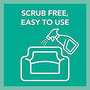 Boxie® Pro™Probiotic Gently Scented Stain & Odor Stopper™ for Dogs, 24 oz Boxiecat