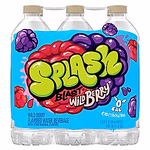 Splash Blast, Flavored Water Beverage, Wild Berry Flavor, 16.9 Fl Oz Plastic Bottles, 6 Pack