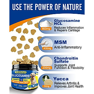 Joint Supplement For Dogs, Hip & Joint Health, Pain Relief, Mobility & Flexibility Support, Glucosamine, Chondroitin, MSM & Omega-3, Turmeric, Advanced Pet Vitamin (Chicken Flavor / 120 Chews)