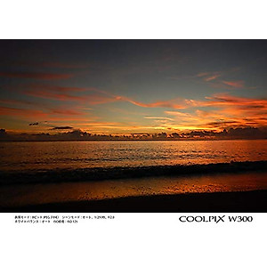 Nikon Digital Camera COOLPIX W300 COOLPIX Yellow Waterproof Camera (International Version)