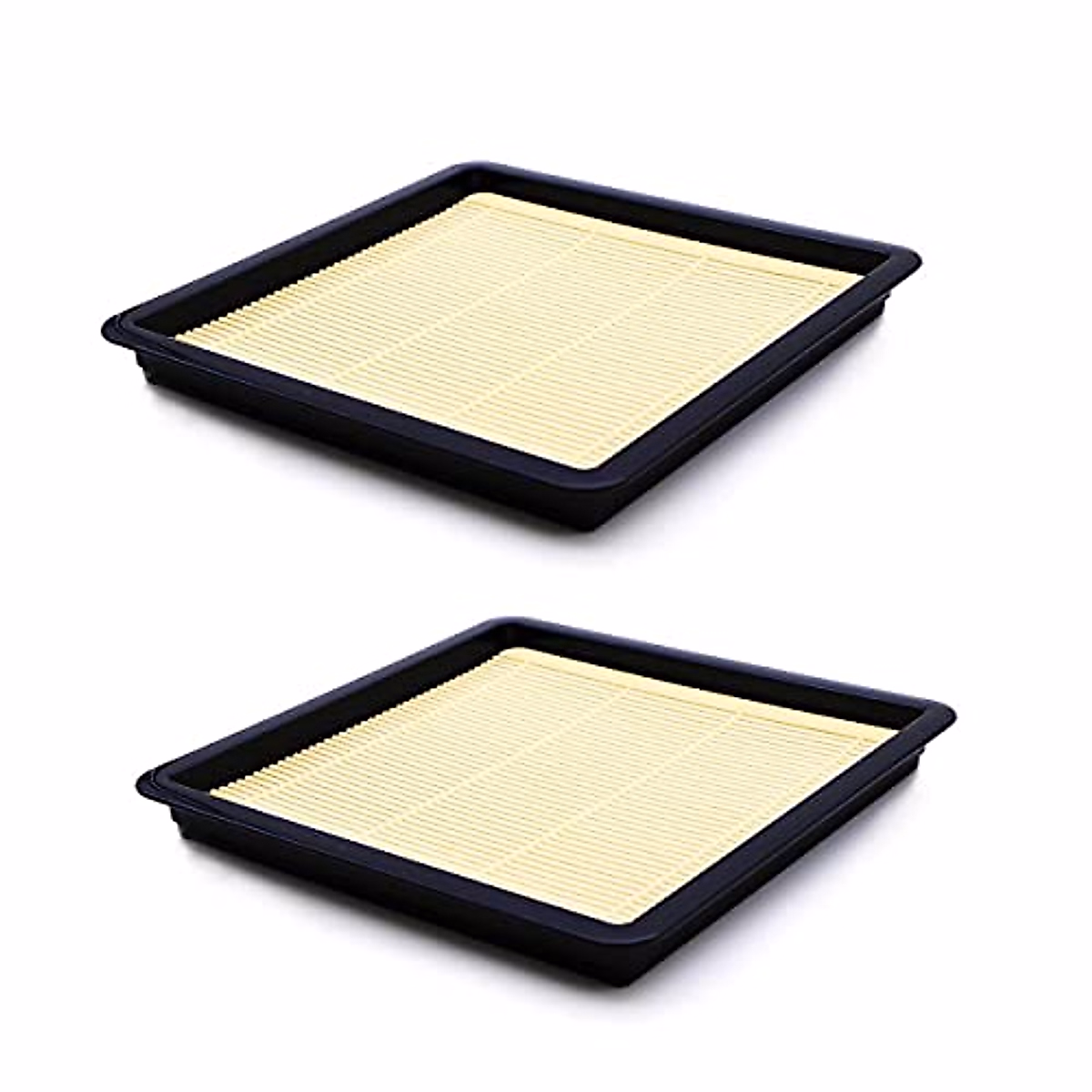 JapanBargain 3183, Japanese Soba Noodle Plates with Bamboo Look Drain Mat Lacquered Sushi Serving Trays Made in Japan, Set of 2
