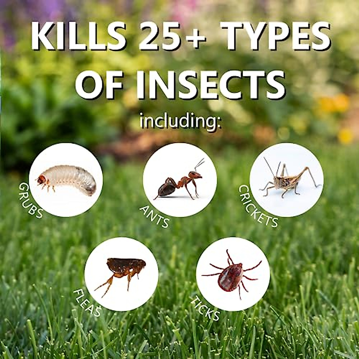 Jonathan Green (11924) Grub & Insect Control - Lawn Insect Killer (10,000 Sq. Ft.)