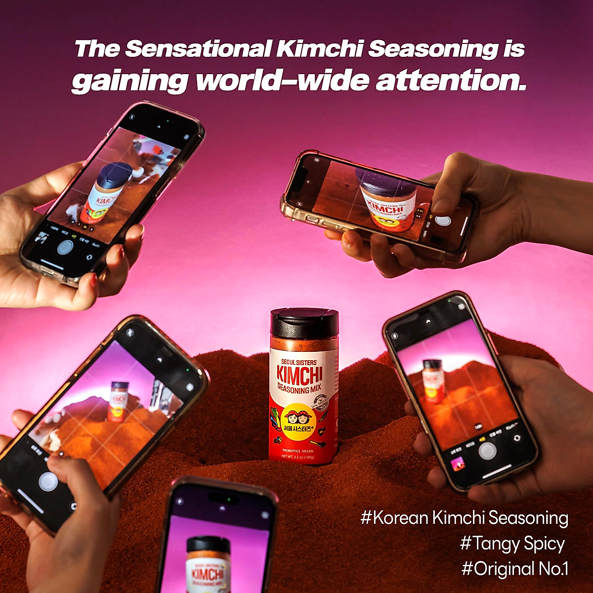 SEOUL SISTERS Korean Kimchi Powder Seasoning Mix 3.5 oz (100g) 1EA - ORIGINAL Spicy Seasoning Mix, Rich in Probiotics, Delicious Barbecue Dry Rub for Chicken Pork Fish Vegetables