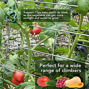 GOLETIO Cucumber Trellis for Raised Bed - 35" x 55" Garden Trellis for Climbing Plants Outdoor - A Frame Trellis for Climbing Vegetables with Plant Support Clips and Gloves