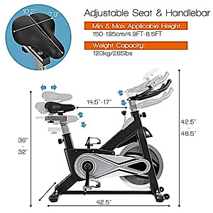 Goplus Exercise Bike, Indoor Cycling Workout Stationary Bike with Adjustable Fitness Saddle, LCD Monitor & Phone Holder, Belt Drive Fitness Bike for Gym Home Cardio Training