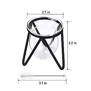 Plant Terrarium with Metal Stand, Desktop Air Planter Bulb Glass Vase for Indoor Live Hydroponics Plants Home Garden Office Decoration