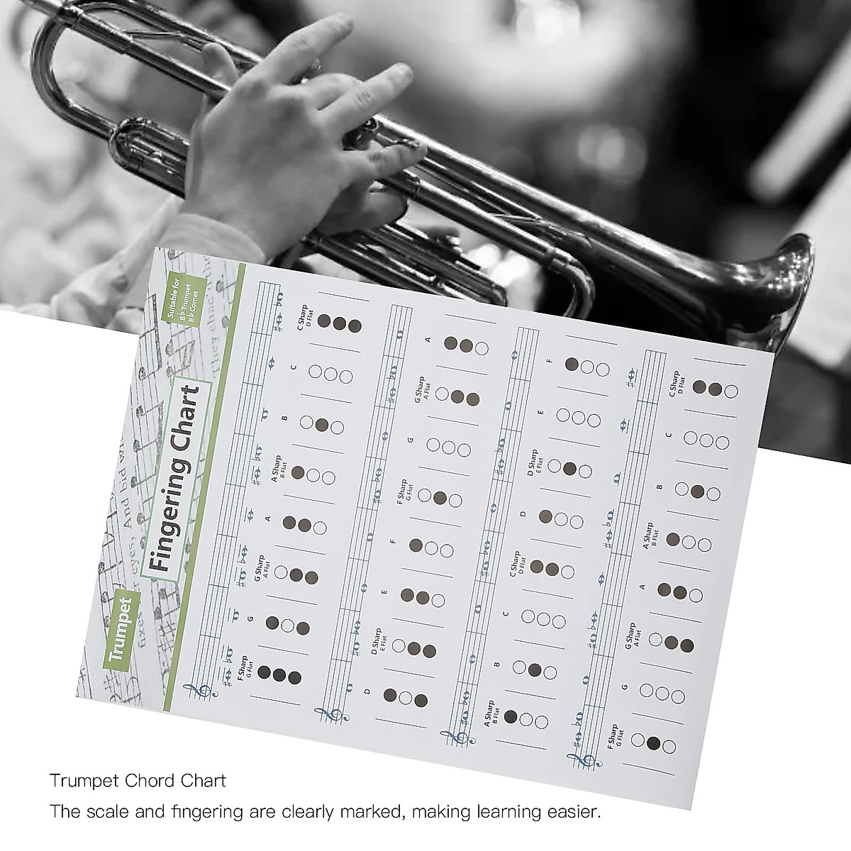 Trumpet Chord Chart Chords Reference Poster Scales Reference Fingering Practice Chart(Trumpet Chord Chart (Large Size))