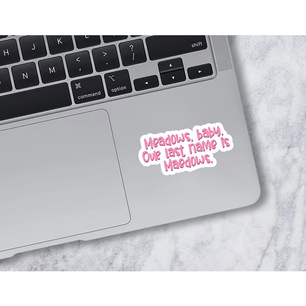 Miraki Meadows Baby Our Last Name Is Meadows Sticker, Dark Romance Sticker, Smutty Sticker, Book Sticker, Water Assitant Die-Cut Vinyl Booktok Decals for Laptop, Phone, Water Bottles, Kindle Sticker