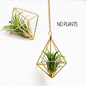 libproqia 6 Pack Hanging Air Plant Holders Geometric Twisted Wire Tillandsia Hangers Metal Air Ferns Containers,2 Small Airplant hangers and 4 Airfern Stands Dsiplay for Himmeli Decor Indoor,Gold