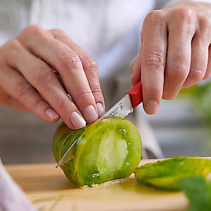 Opinel Les Essentials+ No. 313 Serrated Paring Knife, Corrosion Resistant + Dishwasher Safe, Made in France, Red