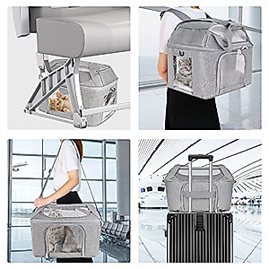 Bejibear Large Cat Carrier for 2 Cats, Oeko-TEX Certified Soft Side Pet Carrier for Cat, Small Dog, Collapsible Travel Small Carrier, TSA Airline Approved Carrier for Large Cats 20 lbs-Gray