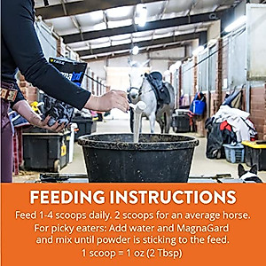 MagnaGard Plus- Gastric Support Supplement for Horses with Omega 3s | Relieves Ulcers, Calming Supplement, Magnesium & Other Vital Minerals | Powder, 20lb Bucket, 5-Month Supply | by Eagle Equine