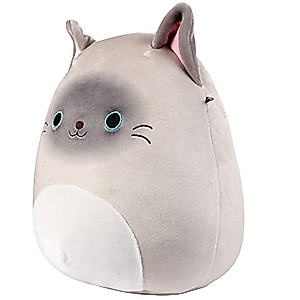 Squishmallows 10" Felton The Siamese Cat - Officially Licensed Kellytoy Plush - Collectible Soft & Squishy Kitty Stuffed Animal Toy - Add to Your Squad - Gift for Kids, Girls & Boys - 10 Inch