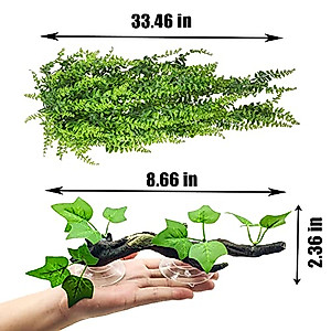 Hamiledyi Reptile Corner Branch Climbing Terrarium Plant Decoration Fake Vines Hanging with Suction Cup for Snakes Amphibian Bearded Dragons Lizards Frogs Geckos Tank Habitat Decor (2 PCS)