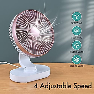 fandicle Battery Operated Fan Portable, 4 Speed 4000 mAh 8.9 Inch USB Powered Fan, Adjustable Angle Tabletop Fan with Upgraded Strong Airflow Quiet Small Desk Fan for Travel, Camping, Office, Car