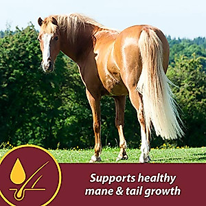 Farnam Laser Sheen Skin & Coat Supplement for Horses, Promotes Healthy Skin & Radiant Coat from The Inside Out, 7.5 Pound, 60 Day Supply