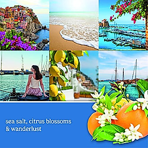 Yankee Candle Mediterranean Breeze Signature Medium Pillar Candle, 14.25oz