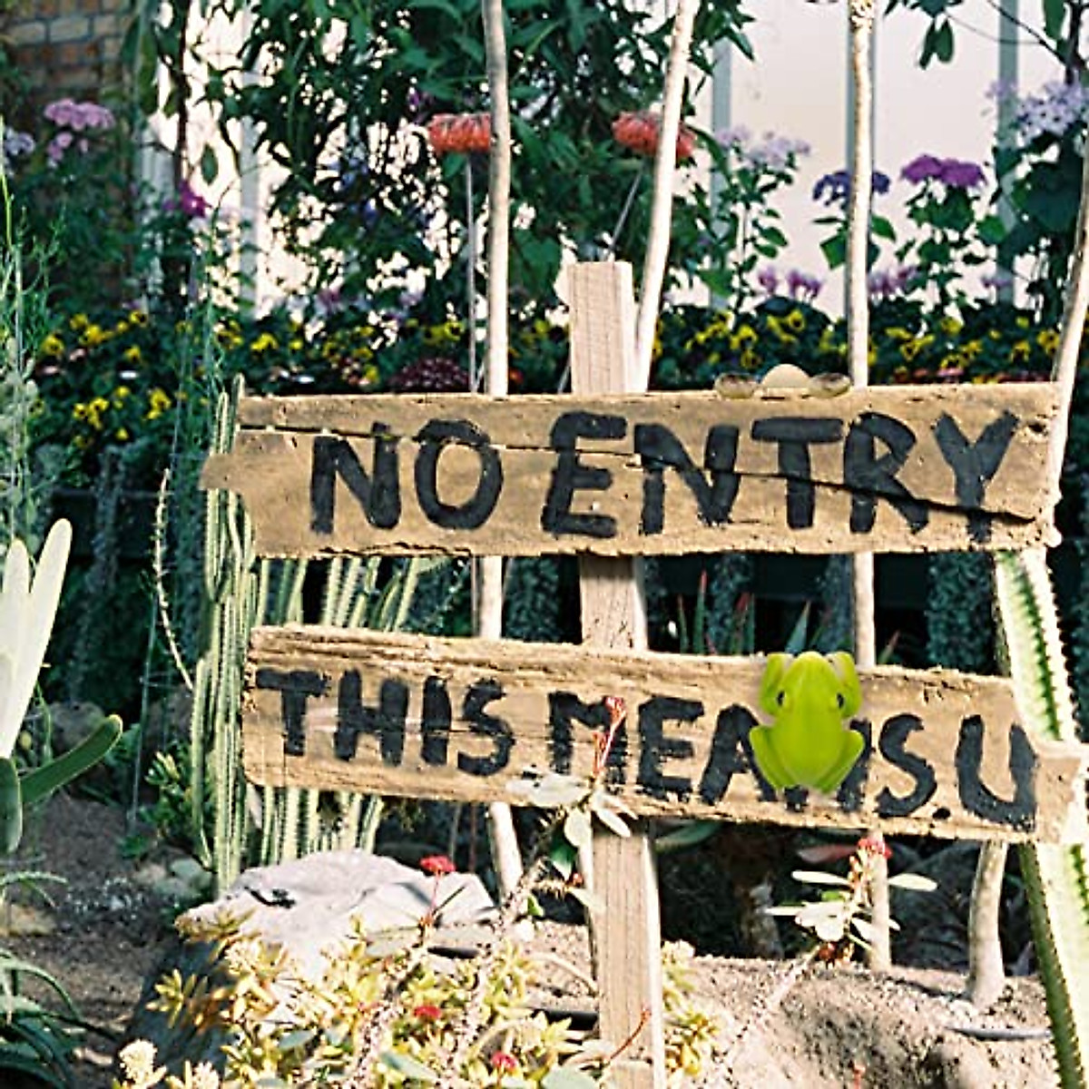 UDOME Plant Decorations for Pots, Miniature Fairy Garden Set of 2 Mini Hanging Frog Figurines, Terrarium Frog Flower Pot and Vase Hugger, Creative Hanging Animal Potted Ornaments, Green