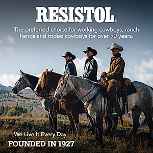 RESISTOL Amarillo Sky Palm 4-1/8" Brim Straw Cowboy Hat Palm L