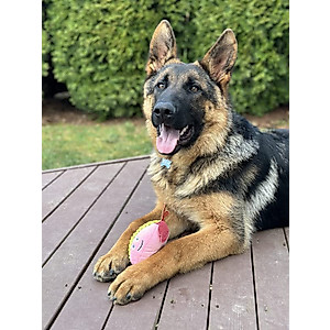 Zoom and Chew Dog Toys, Dog Plush Toy for Large Breed,Tug of war, Squeaky Dog Toys with Crinkle Paper, Dog Chew Toys for Puppy, Small, Medium, Large Dogs (Crab)