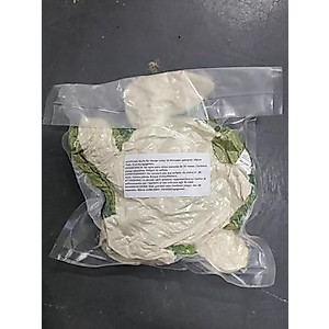 Aoriher 5 Pieces Plush Turtle Set 12 Inch Stuffed Sea Turtle Mom with 4 Little Plush Turtles Soft Plush Stuffed Animal Toys Tortoise Hugging for Birthday Party Favors Easter, Christmas (Cute Style)