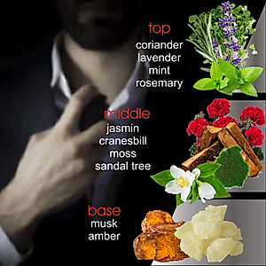 ALFAMARKER Pheromone Cologne for Men - Pheromones Oil Perfume for Men - Pheromone Set (5ml dropper+5 ml rollon)