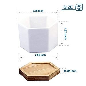 OAMCEG 6 Pack Succulent Plant Pots 2.75 inch Mini Succulent Planter, Set of 6 White Ceramic Succulent Cactus Planter Pots with Bamboo Tray (Plants NOT Included)