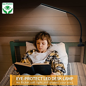 ECHEAIO Clip on Light LED Desk Lamp with Clamp Eye-Caring Dimmable Reading Light for Headboard,3 Modes 10 Brightness, Flexible Gooseneck Book Light Memory Function Desk Lamps for Home Office