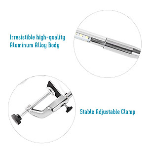 Desk Lamp with Clamp,Desk Lamp Clip on Lamp,LED Eye-Caring Desk Lamp with USB Rechargeable Reading Lights,Task Table Lamps,Foldable Bed Lamp,360° Swivel Desk Lamp for Manicure,Reading,Tattoo Light