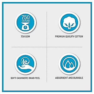 Beautyrest Plume 100% Cotton Bath Towel Set, Luxuriously Soft Feather Touch, Premium 750gsm Spa Quality, Durable and Absorbent for Shower, Multi-Sizes, Seafoam 6 Piece