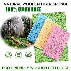 Compressed Cellulose Kitchen Sponges 12Pack，Non-Scratch Biodegradable Natural Colorful Sponge Scrub for Dishes Cleaning,Funny DIY Sponge for Kids