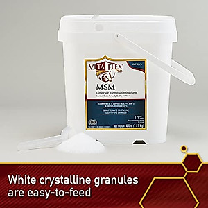 Vita Flex Pro Horse MSM Quality Joint Supplement, 4 Pounds
