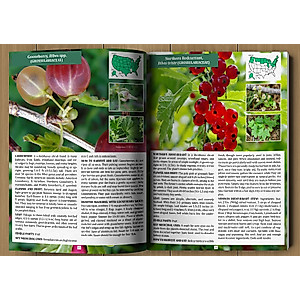 The Forager’s Guide to Wild Foods