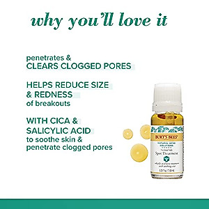 Burt's Bees Natural Acne Solutions Targeted and Minimizing Spot Treatment for Oily Skin, 0.26 Oz (Package May Vary)