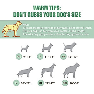 Wegreeco Washable Male Dog Belly Band (Stylish Pattern)- Pack of 3 - Washable Male Dog Belly Wrap, Dog Diapers Male (M, Magic)