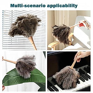 Genuine Ostrich Feather Duster Fluffy Natural with Wooden Handle and Eco-Friendly Reusable Handheld Cleaning Supplies, Gray and Brown(Length 16")