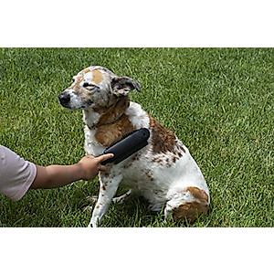 FURemover Plus, Rubber Pet Hair Remover Brush, Black with Gentle Bristles for Grooming Dogs and Cats, Pack of 2, Black