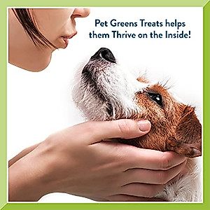 Pet Greens Treats Roasted Chicken Semi-Moist Dog Treat Orange 6 Ounce (Pack of 1)