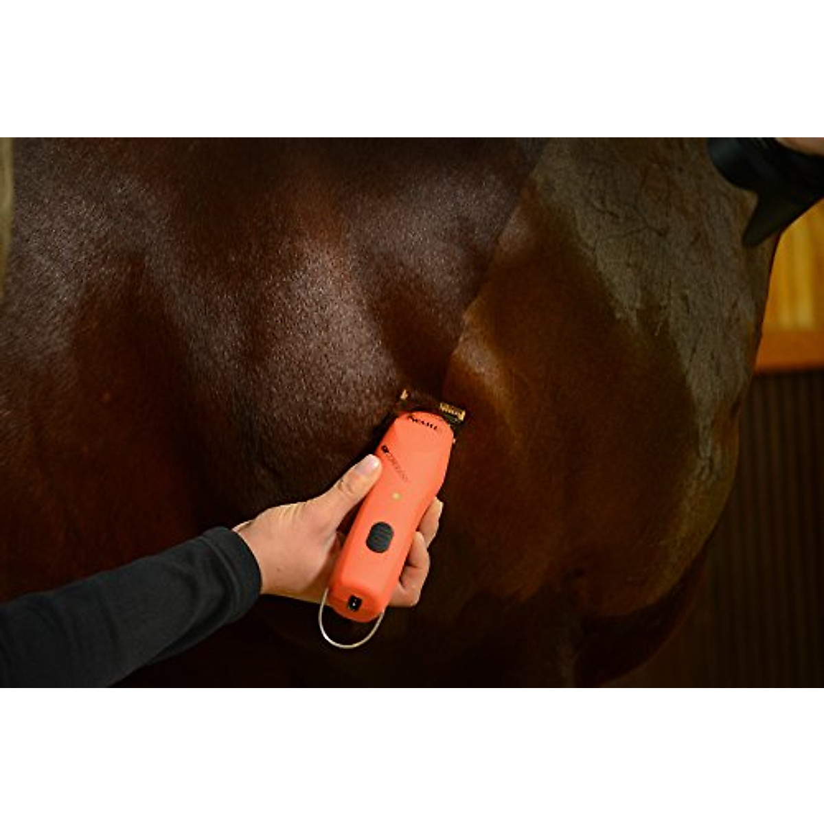 WAHL Professional Animal KM Cordless 2-Speed Detachable Blade Pet and Dog Clipper Kit, Poppy (#9596-200)