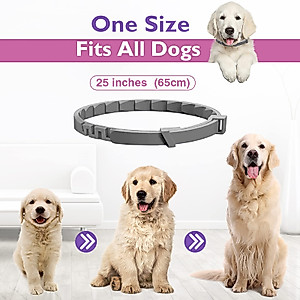 Dogs Calming Pheromones Collar 3 Packs Lasts 60 Days Relieve Reduce Anxiety or Stress 25 Inches Adjustable Relaxing Comfortable Collar Breakaway Design for All Small Medium and Large Dog