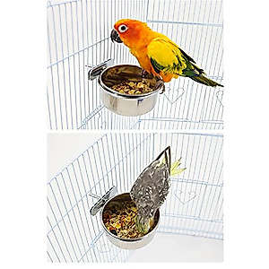 Lucky Interests 4 pcs Bird Feeding Dish Cups, Parrot Stainless Steel Food Bowl Bird Cage Water Feeder with Clamp Holder for Parrots Cockatiel Budgies Lovebird Parakeet Feeding Cups with 4 Bird Spoon