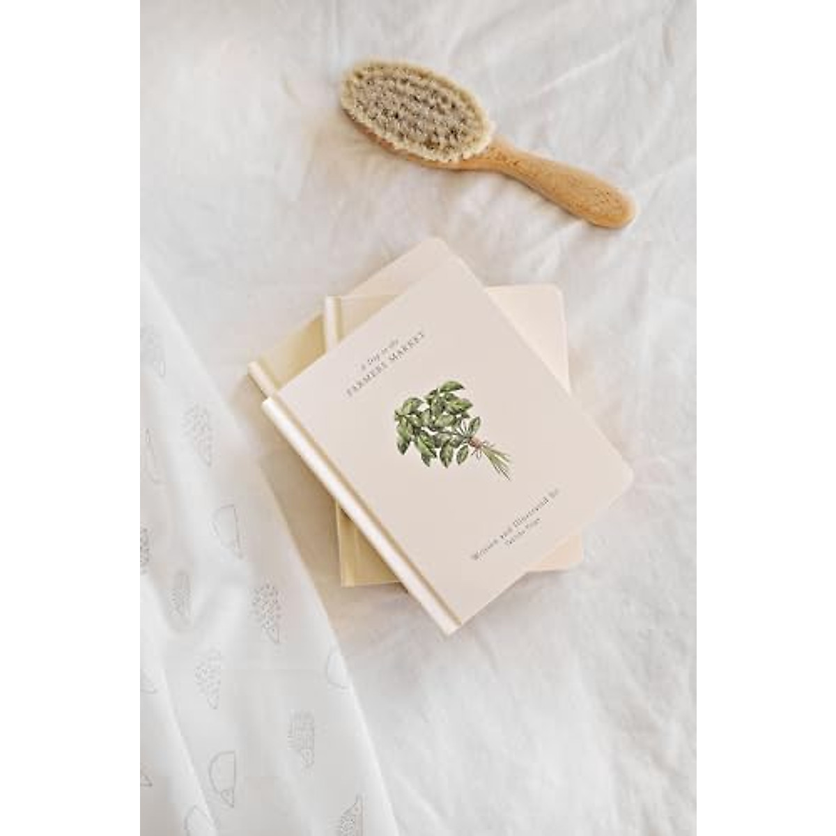 Our Little Adventures: Stories Featuring Foundational Language Concepts for Growing Minds (Our Little Adventures Series)