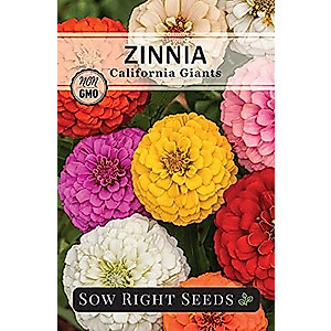 Sow Right Seeds - Zinnia Flower Seeds Collection - Five packets - Luminosa, Canary Bird, California Giants, Envy, and Thumbelina - Full instructions for planting - Wonderful gardening gifts