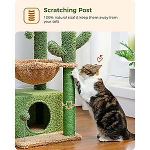 PEQULTI 4-in-1 Cactus Cat Tree, 33'' Cat Tower for Indoor Cats with Large Cat Condo, Cat Scratching Post for Cats with Deep Hammock& Cozy Top Perch,Green