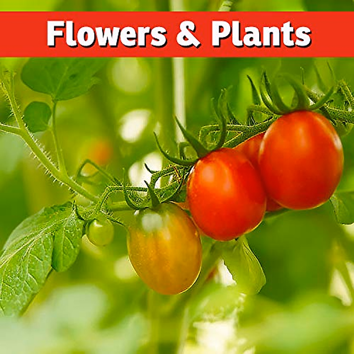 I Must Garden Squirrel Repellent: Protects Vehicles, Plants, Decking, & Furniture – Works on Chipmunks – 32oz Ready to Use