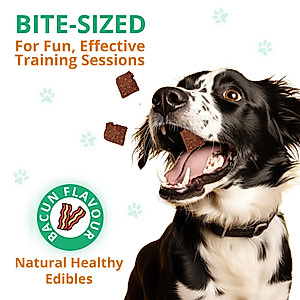 Vivus Pets Vegan Dog Treats - Smokey Maple Bacun Bites for Gut Health and Skin Coat with All Natural, Allergen Free & Human Grade Ingredient - Suitable for All Breeds, 5.3 Oz