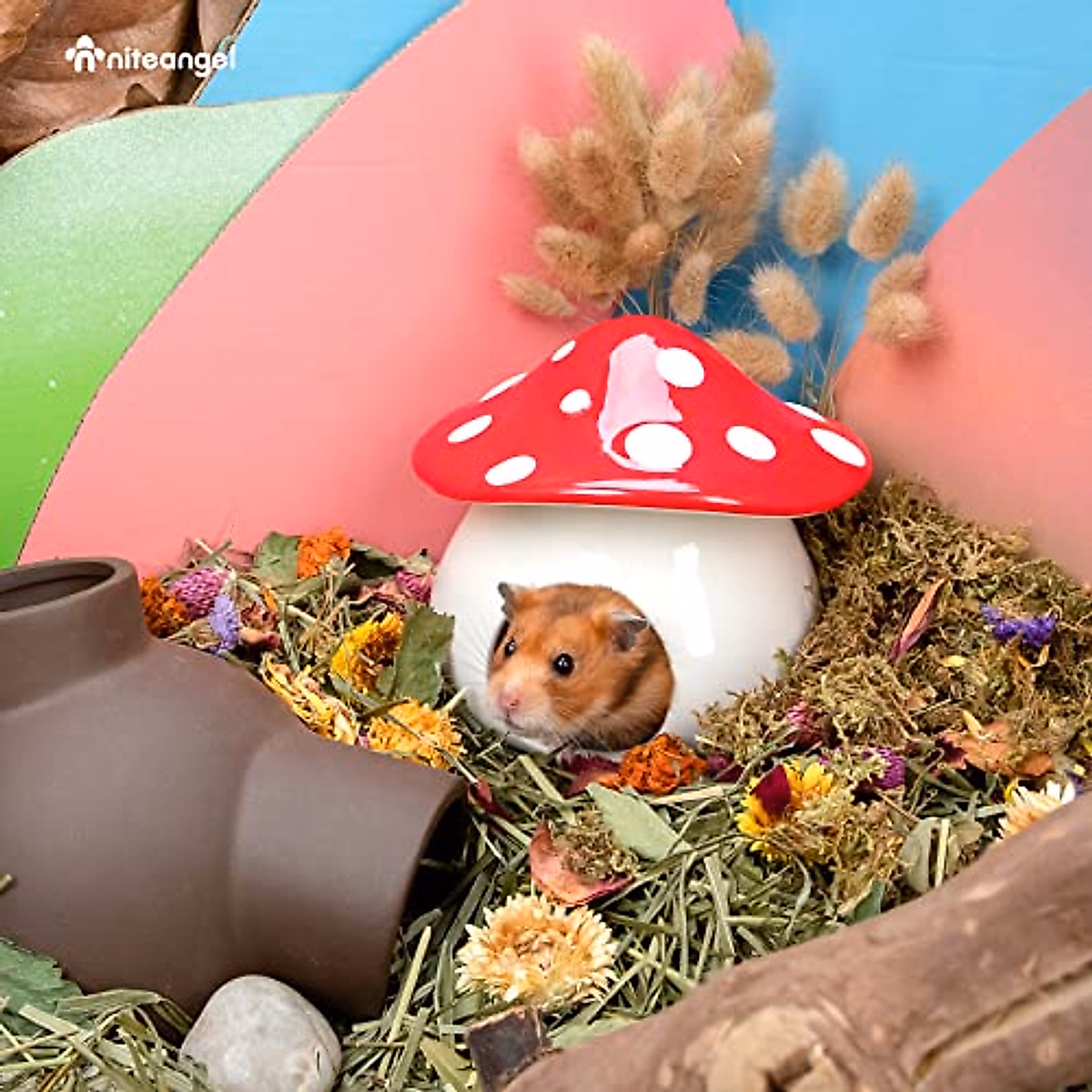Niteangel Ceramic Hamster Habitat Hideout: - Hideaway House for Syrian Dwarf Hamster Mice Gerbils Lemmings or Other Similar-Sized Small Pet (Mushroom-Shaped)