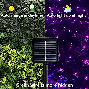 Curyidy Solar String Lights Purple Halloween Decor, 2 Pack 200 LED Solar String Lights Outdoor Waterproof 72ft 8 Modes Fairy Lights for Patio, Yard, Garden, Pathway, Xmas Tree Decor -72ft