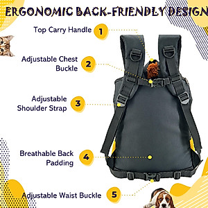 MORIK Lion's Den: Pet Backpack Carrier for Small Dogs and Cats Under 20 lbs. with Good Ventilation, Washable Mat, and Safety Strap, Ideal for Travel, Hiking, and Everyday Adventures (Medium)